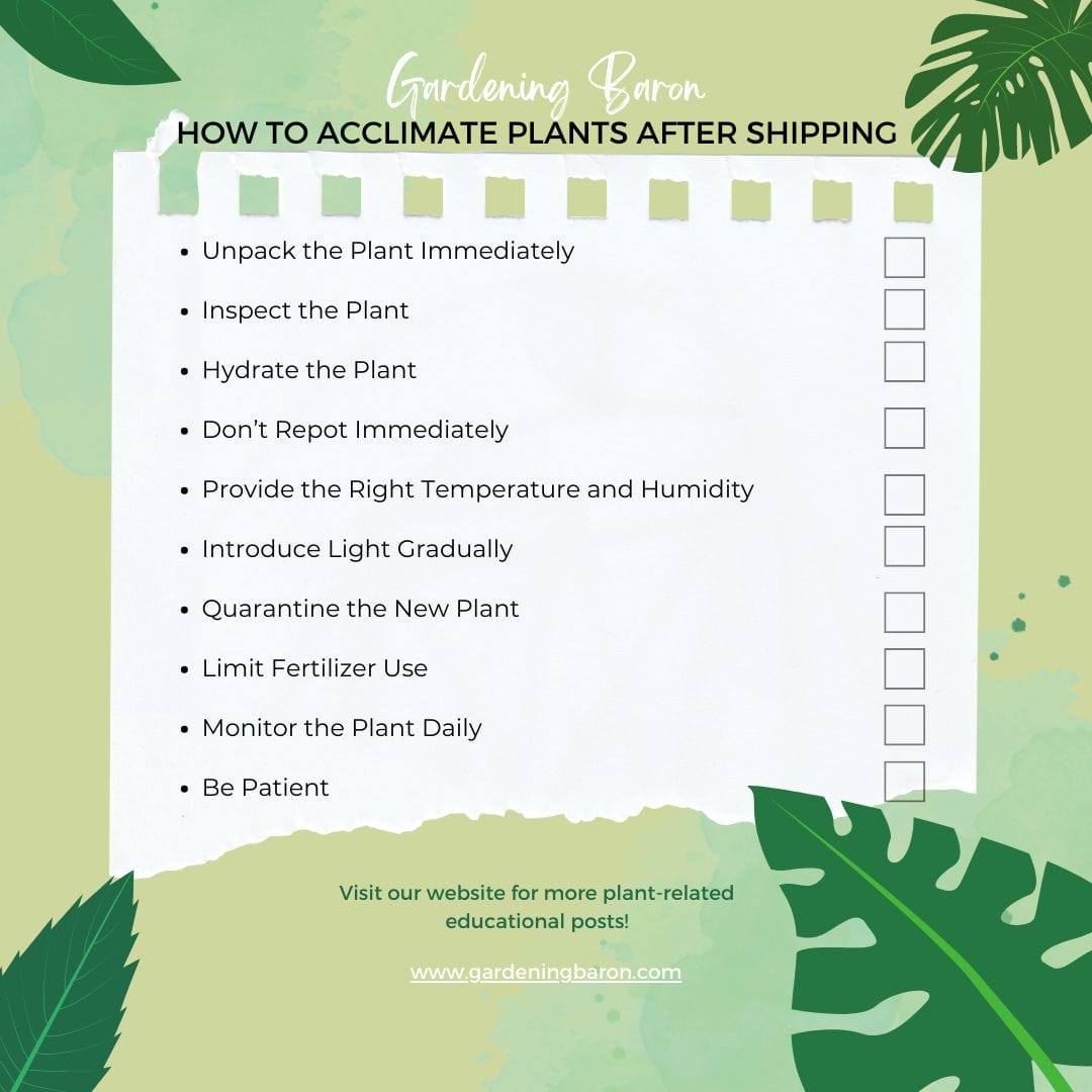 How to Acclimate Plants After Shipping - Gardening Baron