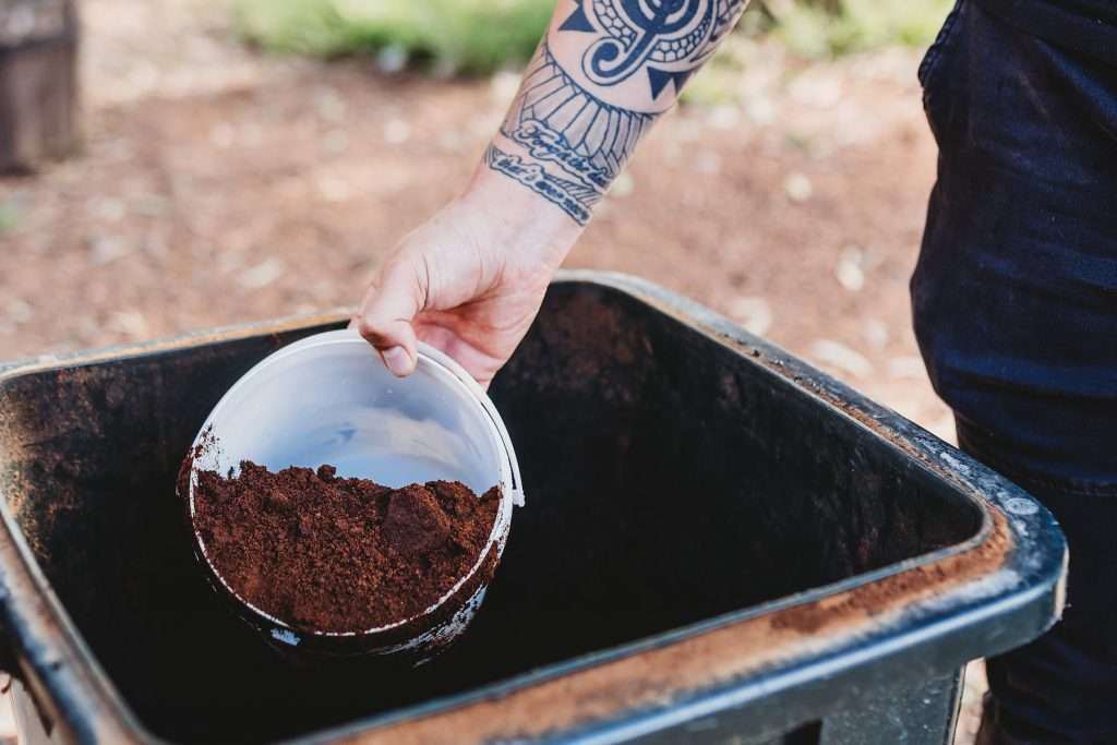 Why You Should NEVER Use Coffee Grounds In Your Garden - Gardening Baron