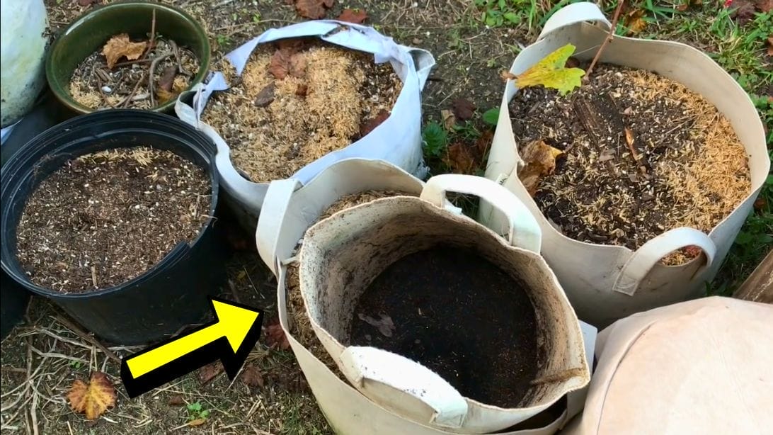 8 Uses for Old Potting Soil ( 2 Things You Should Never Do With It ...